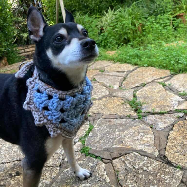 Granny Bandana for Dogs Crochet Pattern - Sandra Stitches